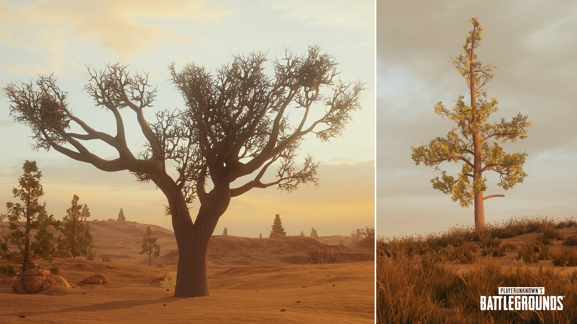 Console Update 12.1 – Patch Notes - NEWS - PUBG: BATTLEGROUNDS